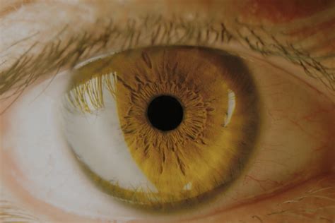 Extreme Close Up Shot