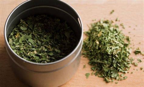 Origanum: лечебни свойства