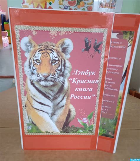 Лэпбук. Лэпбуки на все темы. Воспитателям детских садов, школьным ...