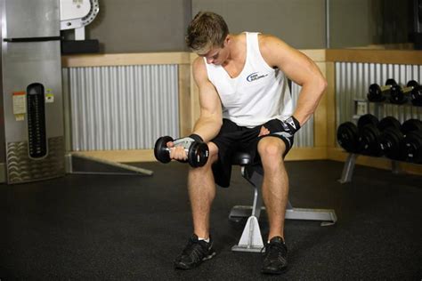 Сгибания запястий с гантелей (техника) | MuscleFit