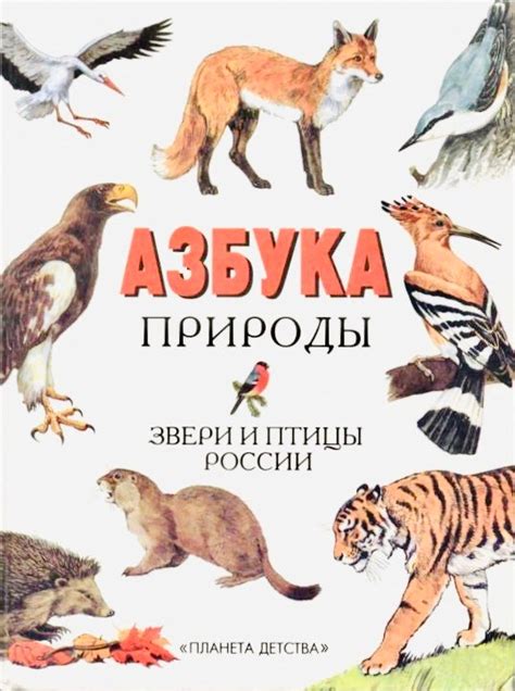Азбука природы. Звери и птицы России