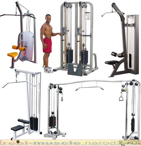 RealMuscle бодибилдинг, фитнес - Спорт инвентарь