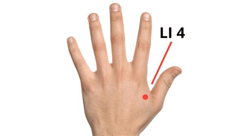 5 Effective Acu Pressure Points For High BP [Blood Pressure]