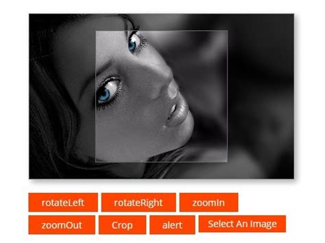 Touch-enabled Image Cropping Plugin with jQuery and Canvas - canvasCrop | Free jQuery Plugins