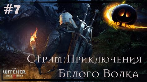Часть 7 ПРИКЛЮЧЕНИЯ БЕЛОГО ВОЛКА ! СКЕЛЛИГЕ! - YouTube