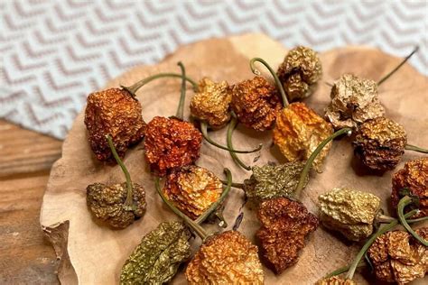 Carolina Reaper - Westlandpeppers