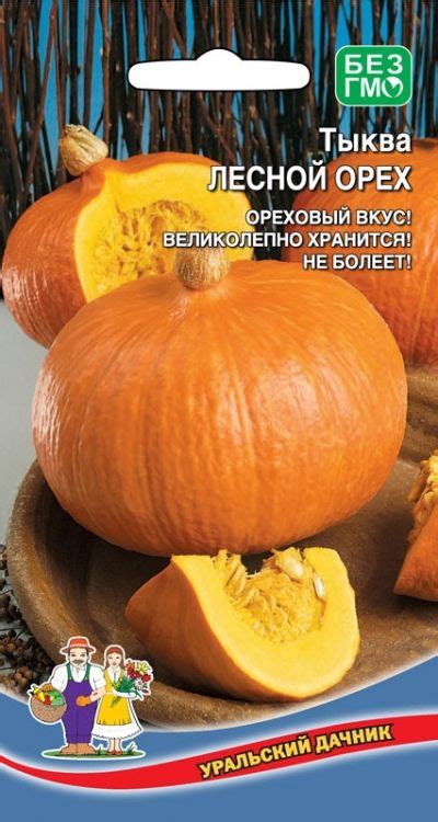 Тыква лесной орех: описание сорта, выращивание и уход с фото