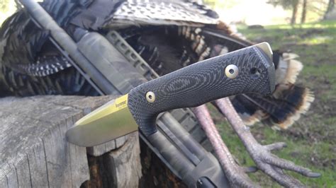 T5 | Page 4 | BladeForums.com