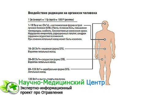 Уровень радиации — Таблица измерения уровня радиации, способ защиты и ...