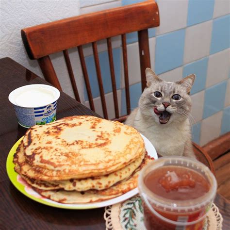 Пин на доске мдауш
