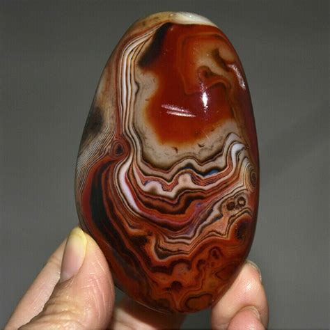 Sardonyx Kopen Webshop Dutch Minerals and Fossils - Buy Sardonyx Online ...