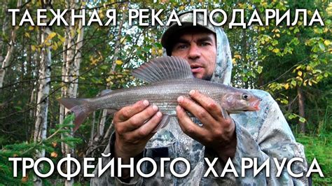 ТАЕЖНАЯ РЕКА ПОДАРИЛА ТРОФЕЙНОГО ХАРИУСА / РЫБАЛКА ОСЕНЬЮ - YouTube