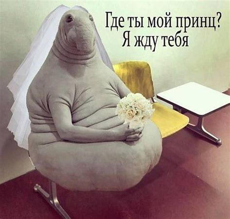 Создать мем "ждун мем, ждун фото оригинал, ждун дождался картинка ...