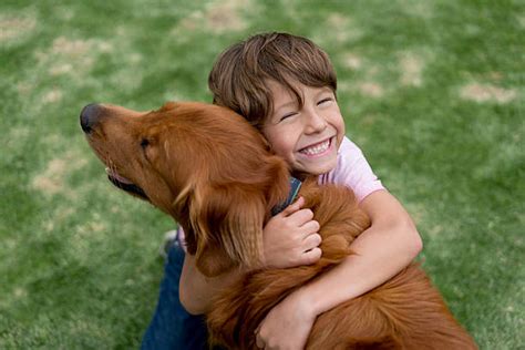 10 Top Reasons Why You Should Own a Pet - Daily With Pets