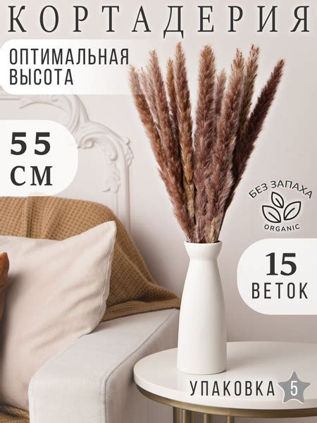 Стабилизированные цветы ARANTA, 55 см, 50 гр, 15 шт купить по выгодной ...