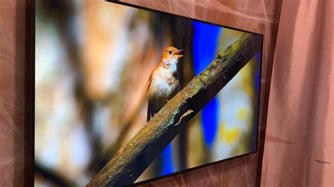 Яндекс тв 65" (164 см) Телевизор LED DEXP U65H8000K - YouTube