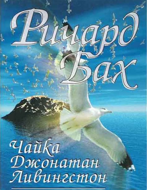 18 вдохновляющих цитат из книги «Чайка по имени Джонатан Ливингстон ...