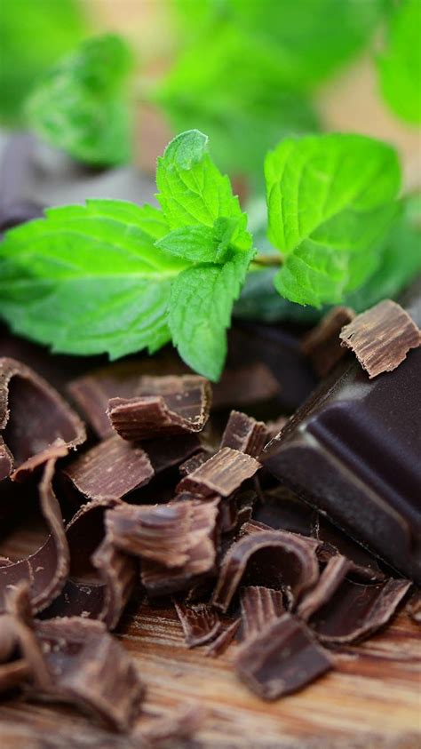 Homemade Chocolate Bark with Mint Leaves