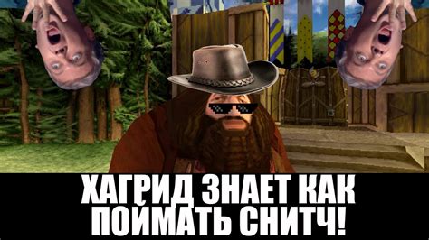 Хагрид знает как поймать снитч! Гарри Поттер и философский камень ...