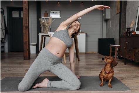Fundamental Tips for Keeping Fido Fit and Healthy - Silver Paw Pet Tags