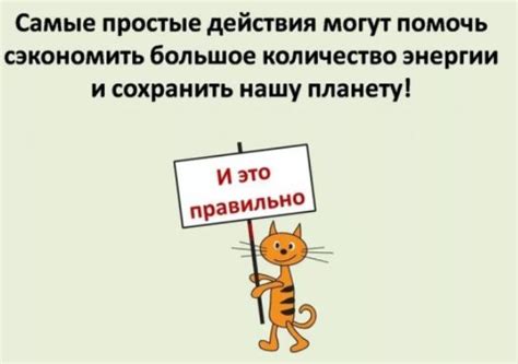 кот с транспарантом