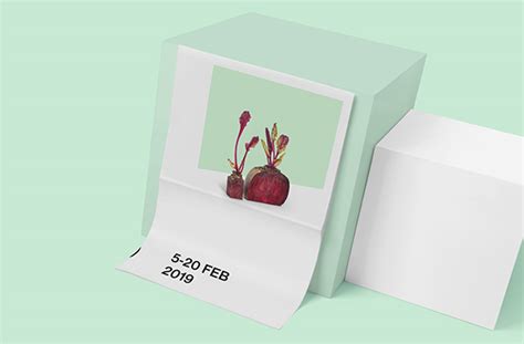 Albom on Behance