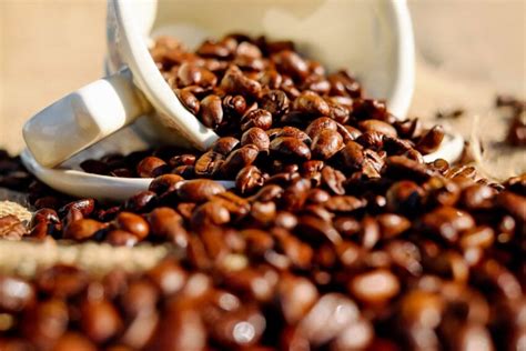 Kostenlose Bild: Bohne, Kaffee, Lebensmittel, Getränke, Koffein ...