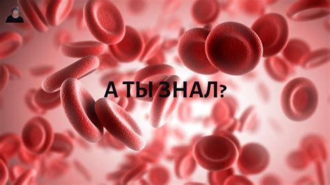 Раскрыт секрет/ Как ПОВЫСИТЬ ГЕМОГЛОБИН ЗА НЕДЕЛЮ в домашних условиях ...