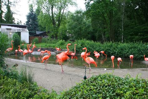 Ostrawa - Atrakcje turystyczne, zabytki Ostrawy, Przewodnik po Ostrawie ...