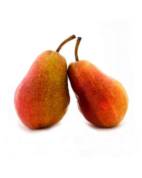 Ред барлет грушу купить в Fruitonline