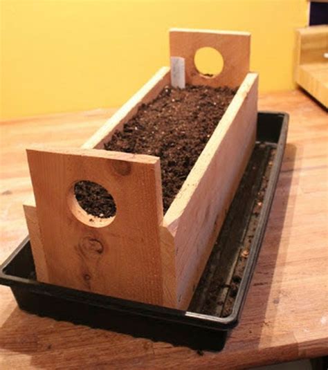 20 DIY Grow Box Ideas - DIYsCraftsy