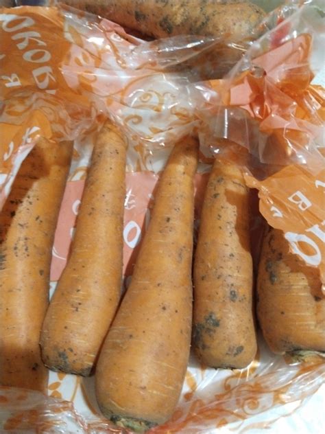 Морковь колхозная, 1 кг купить на OZON по низкой цене (1710550104)