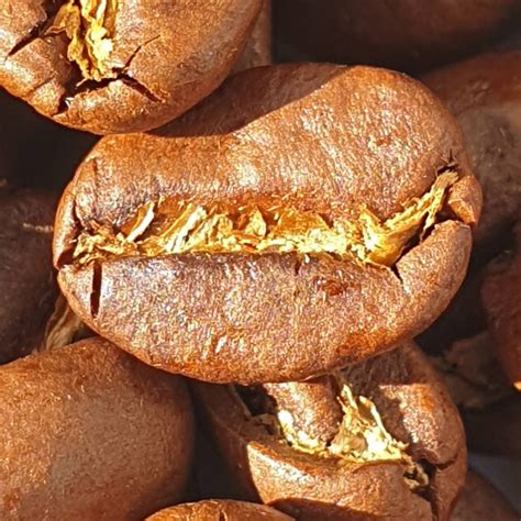 Крафтовый кофе обжареный Арабика Эфиопия Сидамо (1 кг.) ☕