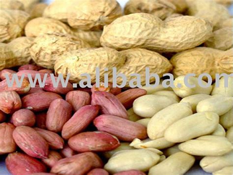 peanut,United Kingdom price supplier - 21food