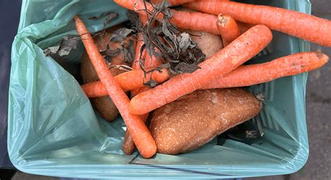 European Food Waste Prevention Yields Major Footprint Savings | Mirage News