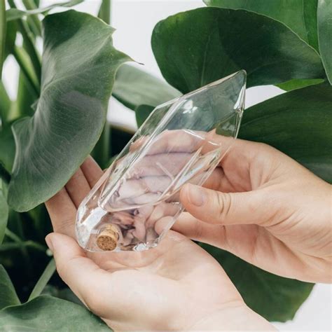 Water Your Plant From A Crystal By HELLO LOVELY | Cristales