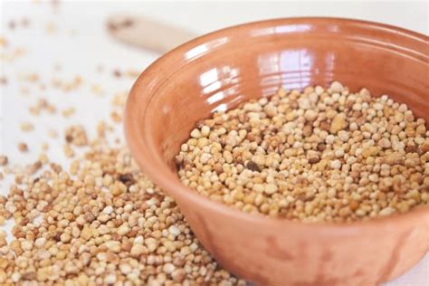 What is Fregola? | Guide for 2025 | Cozymeal