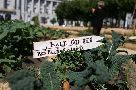 The Healthy Food Myth, Erotic Bar Games, and More Long Reads - Eater