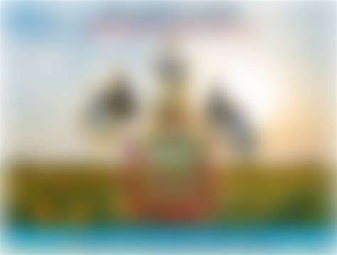 Кнуты и нагайки на заказ 2024 | ВКонтакте