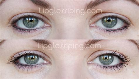 Max Factor 2000 Calorie Brown | atelier-yuwa.ciao.jp