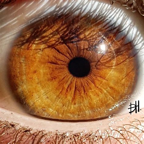 Янтарные Глаза Фото Без Фотошопа — Картинки фотографии