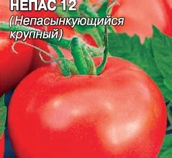 Томат Непас 12 (Непасынкующийся Крупный) семена - низкая цена, описание ...