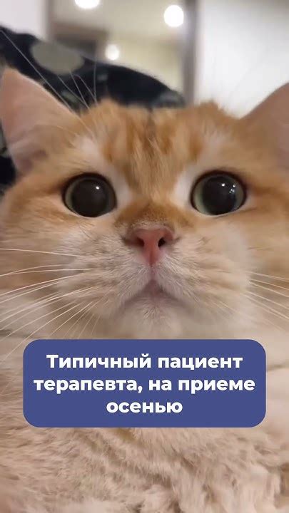Курсы по медицинскому английскому. Получите пробные уроки в профиле ...