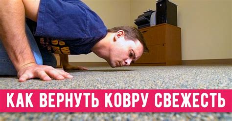 Порошок для ковра - Со Вкусом