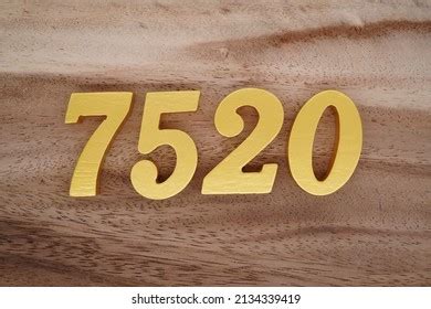 6 7520 Years Images, Stock Photos, 3D objects, & Vectors | Shutterstock