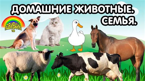 Мультики для самых маленьких. Домашние животные. Кто как называется ...