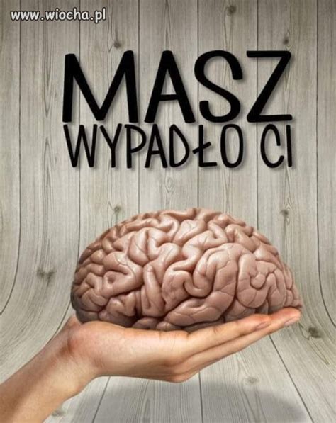 Podnieś przed wyborami | Zabawne memy, Śmieszne memy, Śmieszne