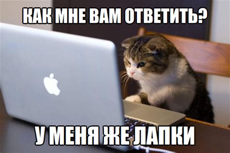 У меня лапки — Библиотека мемов