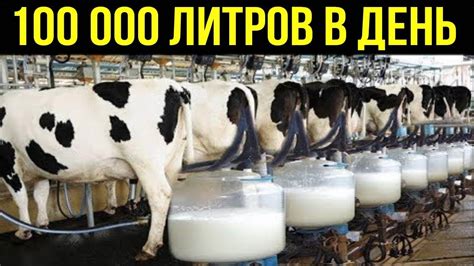 Такое Производство Никогда не Покажут по Телевизору | Топ 10 - YouTube