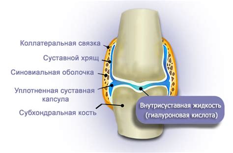 Гиалуроновая кислота для суставов: эффект, как применять, показания
